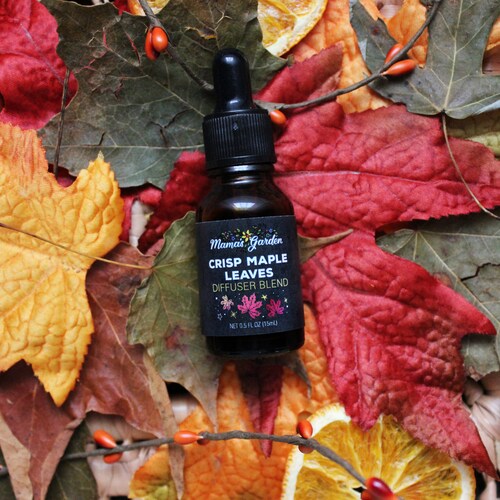 Warm Apple Pie Essential Oil Diffuser Blend Autumn Diffuser | Etsy