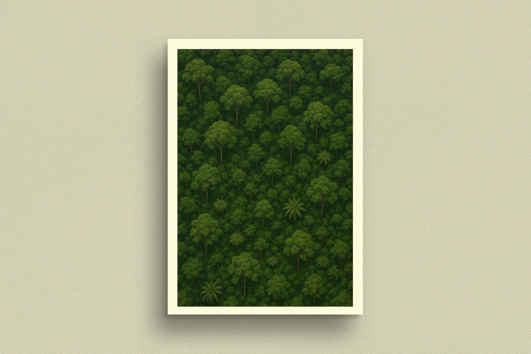Digital Download Birdseye View Rainforest Digital Print - Etsy