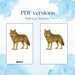 Forest Animal Flashcards | Montessori Printable | Toddler & Preschool ...