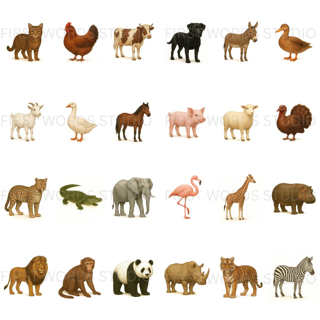 Farm + Wild Animals Flashcards | Montessori Animal Cards for Kids ...