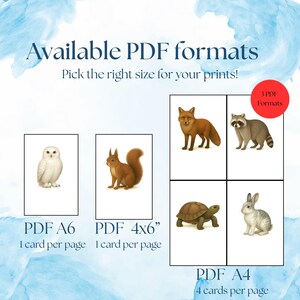 Forest Animal Flashcards | Montessori Printable | Toddler & Preschool ...