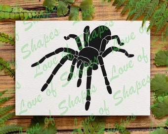 Tarantula Silhouette SVG, Svg, Dxf, Cricut, Silhouette Cut File ...
