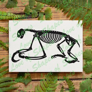 sloth skeleton halloween