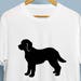 Cavapoo Digital Download, Cavapoo Art, Dog Silhouette, Cavapoo SVG, DXF ...