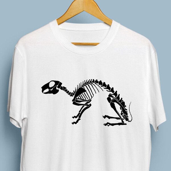 Rabbit Skeleton - Etsy
