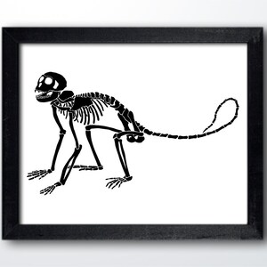 Spider Monkey Skeleton - Digital Download, Spider Monkey Art, Halloween ...