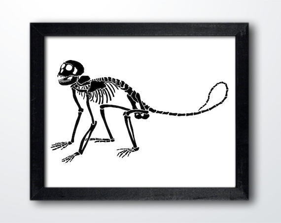 Halloween Spider Monkey Skeleton SVG Spider Monkey Art Digital Download ...