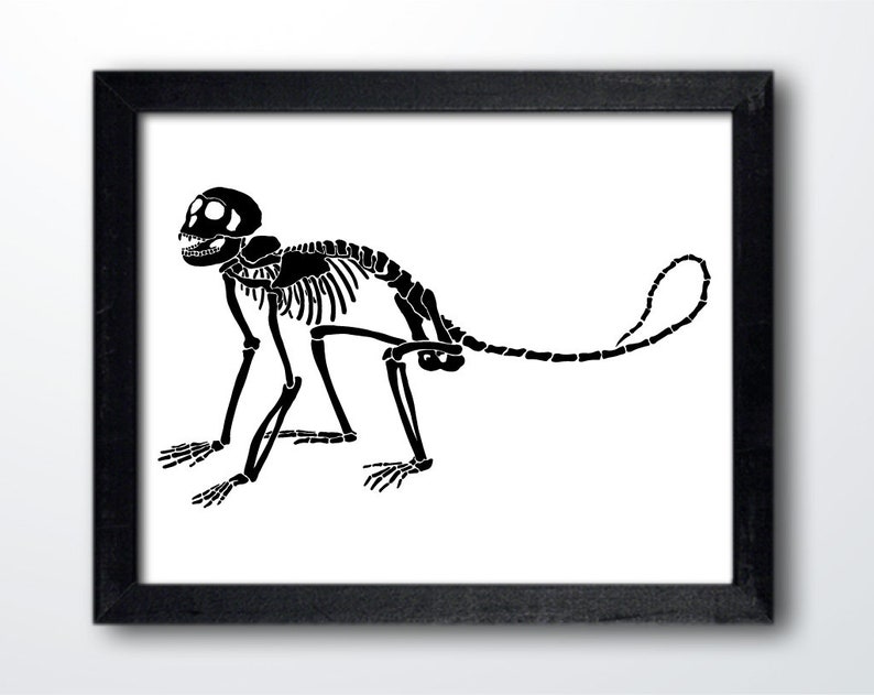 Spider Monkey Skeleton Digital Download Spider Monkey Art | Etsy