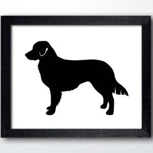 Nova Scotia Duck Tolling Retriever - Digital Download, Nova Scotia Duck ...
