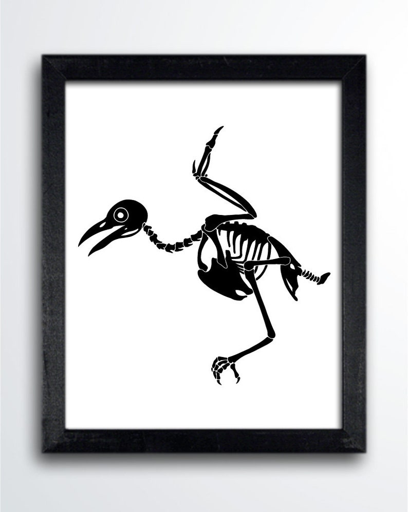 Raven Skeleton Crow Skeleton- Digital Download, Raven Crow Art ...