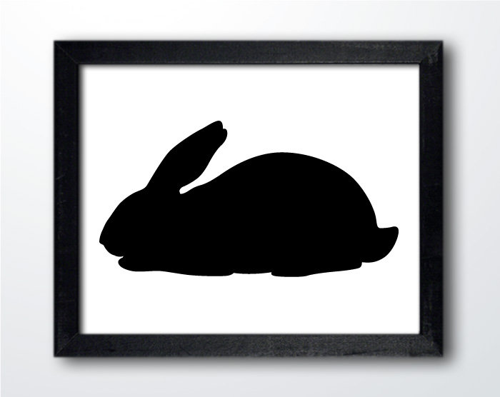 Black Flemish Giant Rabbit