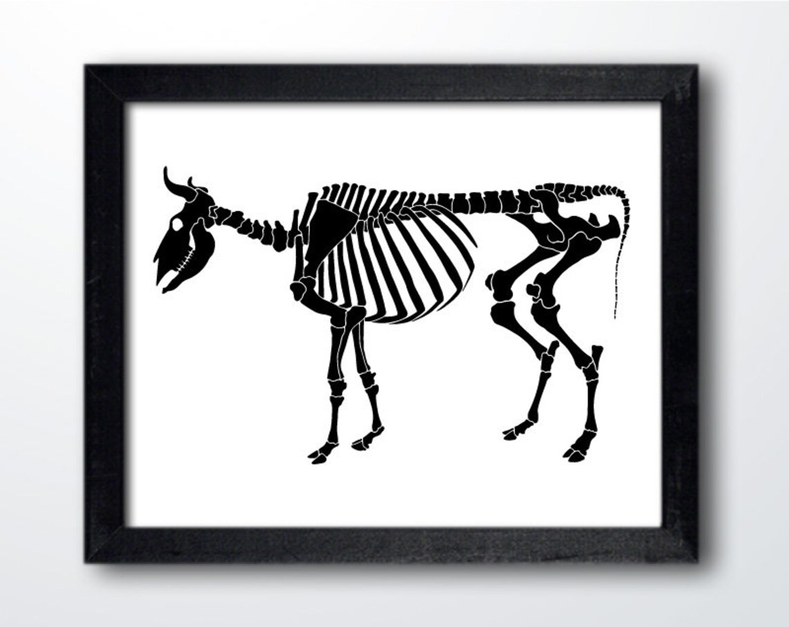 Cow Skeleton Digital Download Cow Art Halloween Cow - Etsy