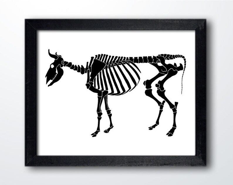 Cow Skeleton - Digital Download, Cow Art, Halloween Cow Skeleton SVG ...
