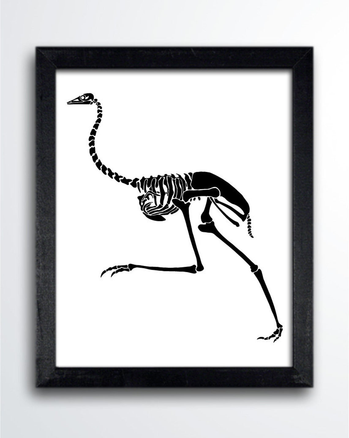 Emu Skeleton Digital Download Emu Art Halloween Emu | Etsy