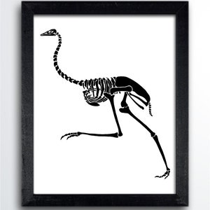 Emu Skeleton - Digital Download, Emu Art, Halloween Emu Skeleton SVG ...