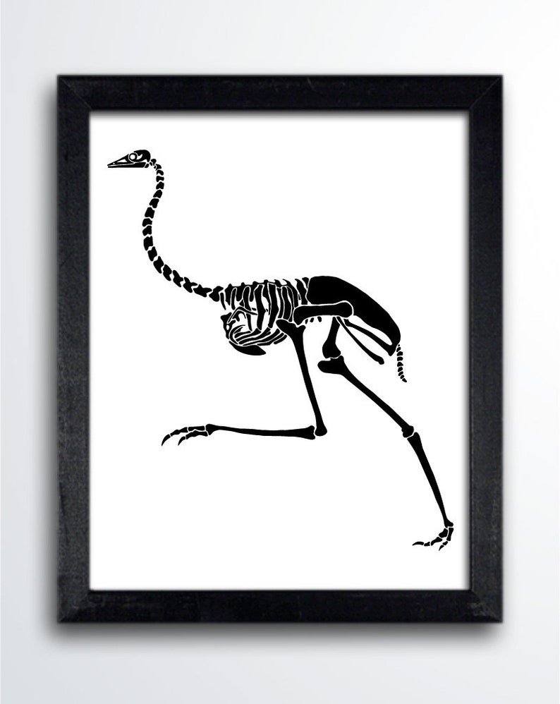 Emu Skeleton Digital Download Emu Art Halloween Emu - Etsy