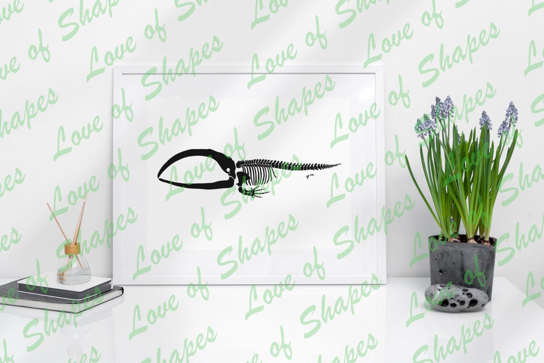 Bowhead Whale Skeleton - Digital Download, Bowhead Whale Art, Halloween ...