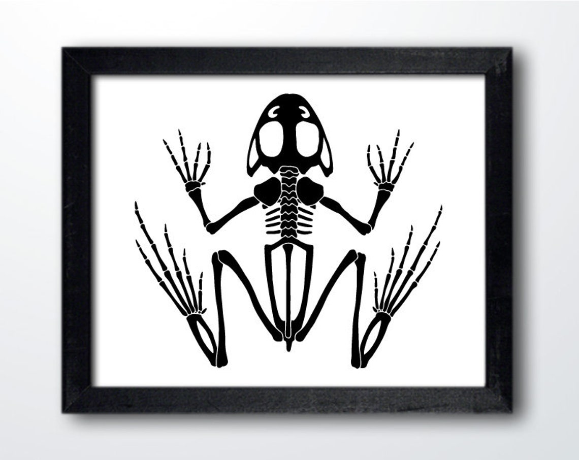 Frog Skeleton Digital Download Frog Art Halloween Frog - Etsy