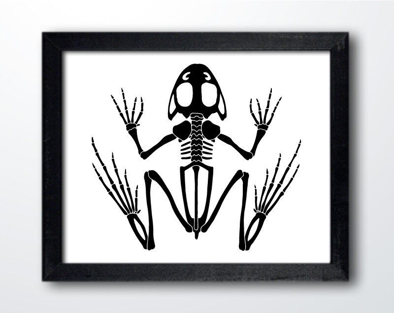 Frog Skeleton Digital Download Frog Art Halloween Frog - Etsy