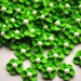 Spring Green Sparkling Royal Icing Flowers With White Sugar Pearl ...