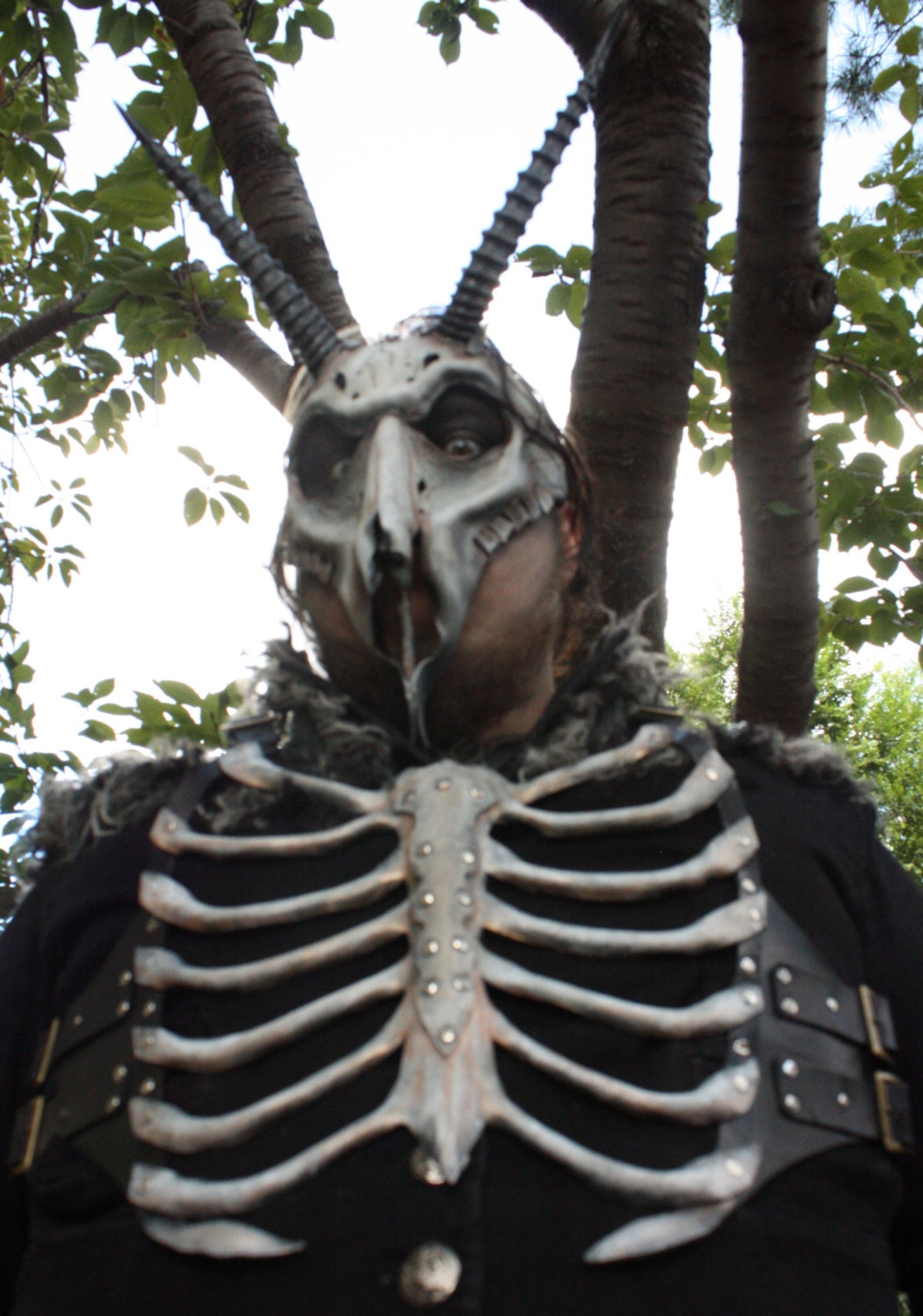 Leather Rib Cage Armor Harness - Etsy