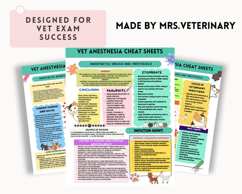 Veterinary Anesthesia Cheat Sheets Vet Tech Notes Vet Nurse Anesthesia ...