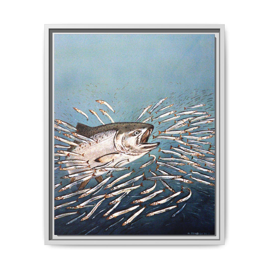 Salmon Feading Scene Matte Canvas Wall Art, Nature Decor, Gift for ...