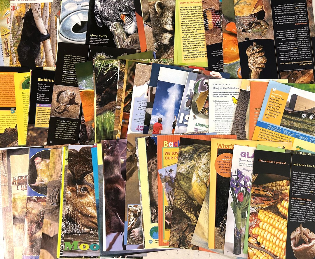 Animals and Insects Magazine Pages Ephemera Lot of Junk Journal ...