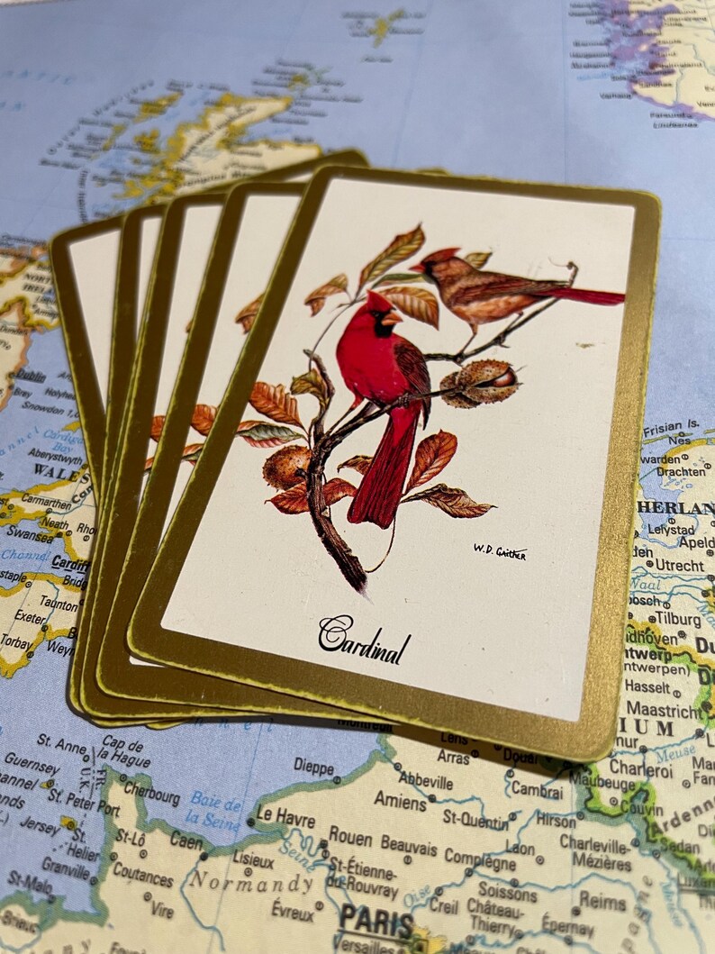 Vintage Red Cardinal Birds Playing Cards- Set of 10 - Etsy