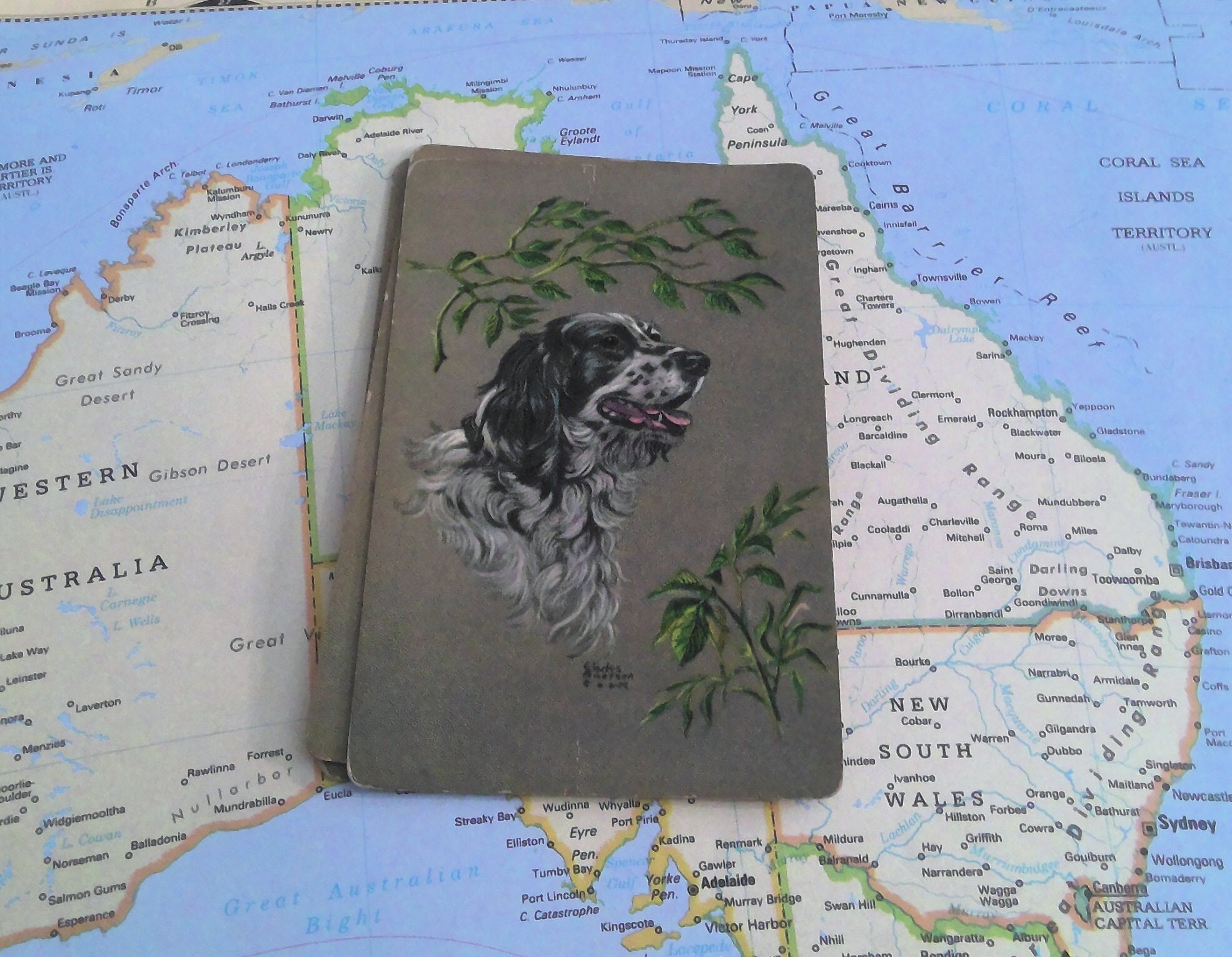Vintage Border Collie Playing Cards- Set of 10 - Etsy