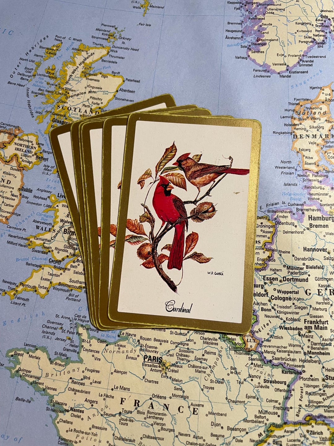 Vintage Red Cardinal Birds Playing Cards- Set of 10 - Etsy