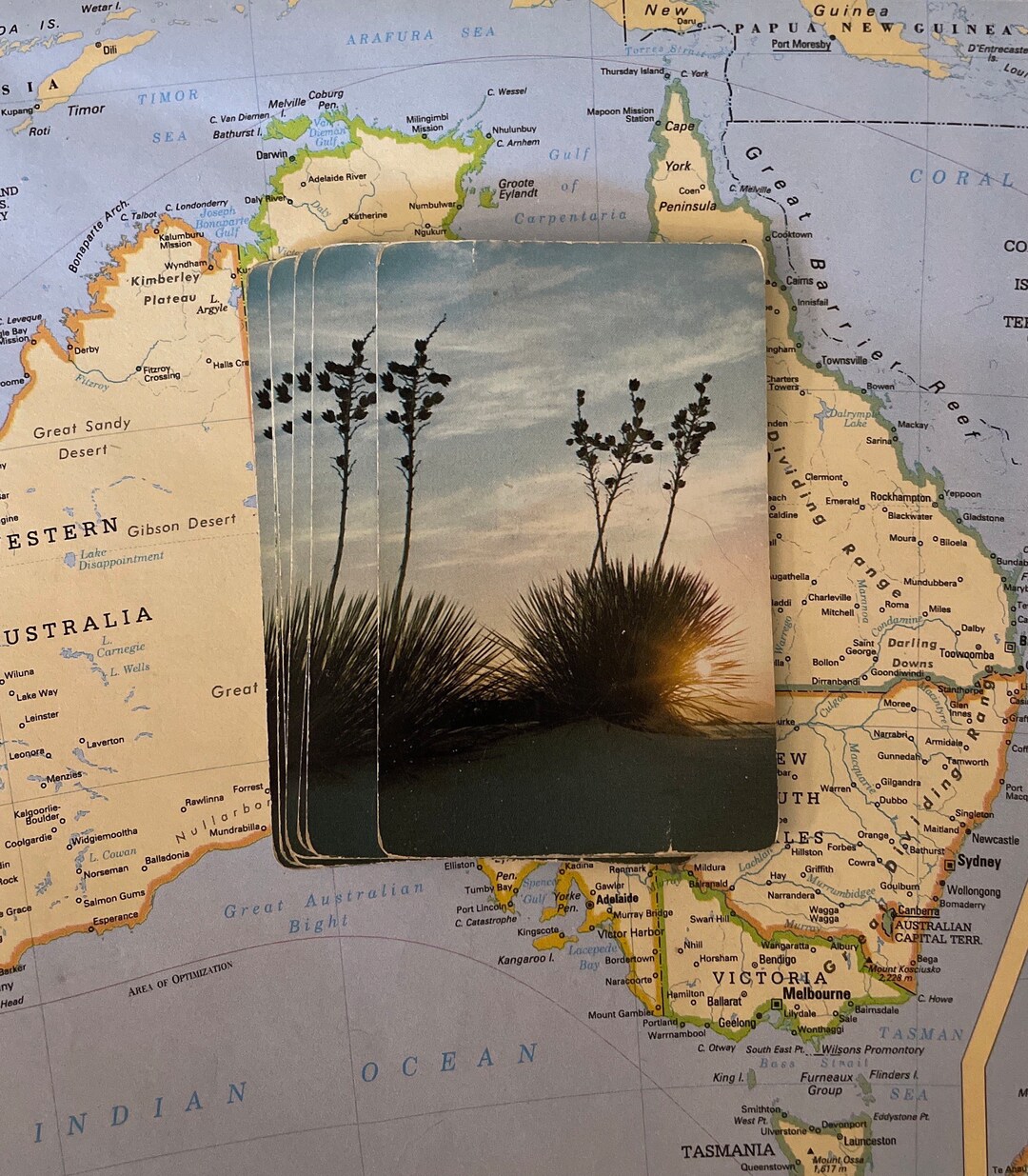 Vintage Desert Grass Playing Cards- Set of 10 - Etsy