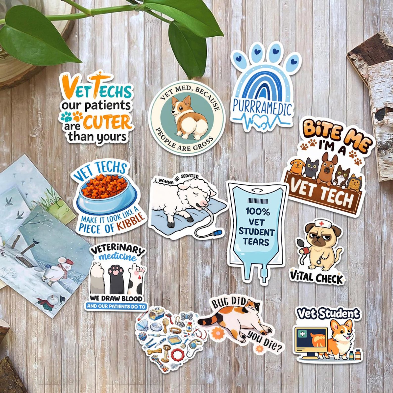 Funny Vet Med Pack 12: Veterinary Tech Humor, Animal Lover Gift - Etsy