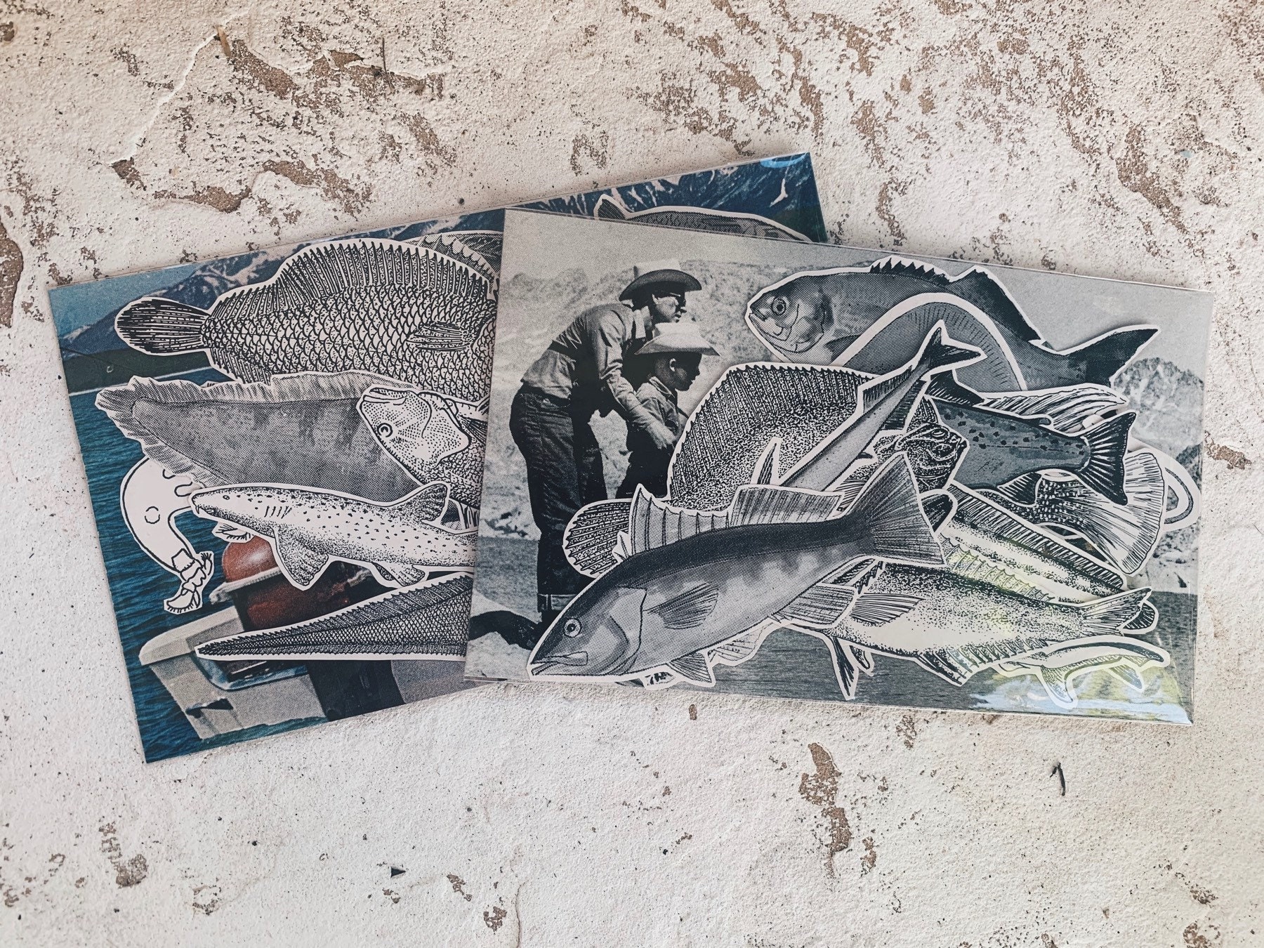 Fish Ephemera Paper Lot, Fish, Vintage Fish, Vintage Book Pages ...