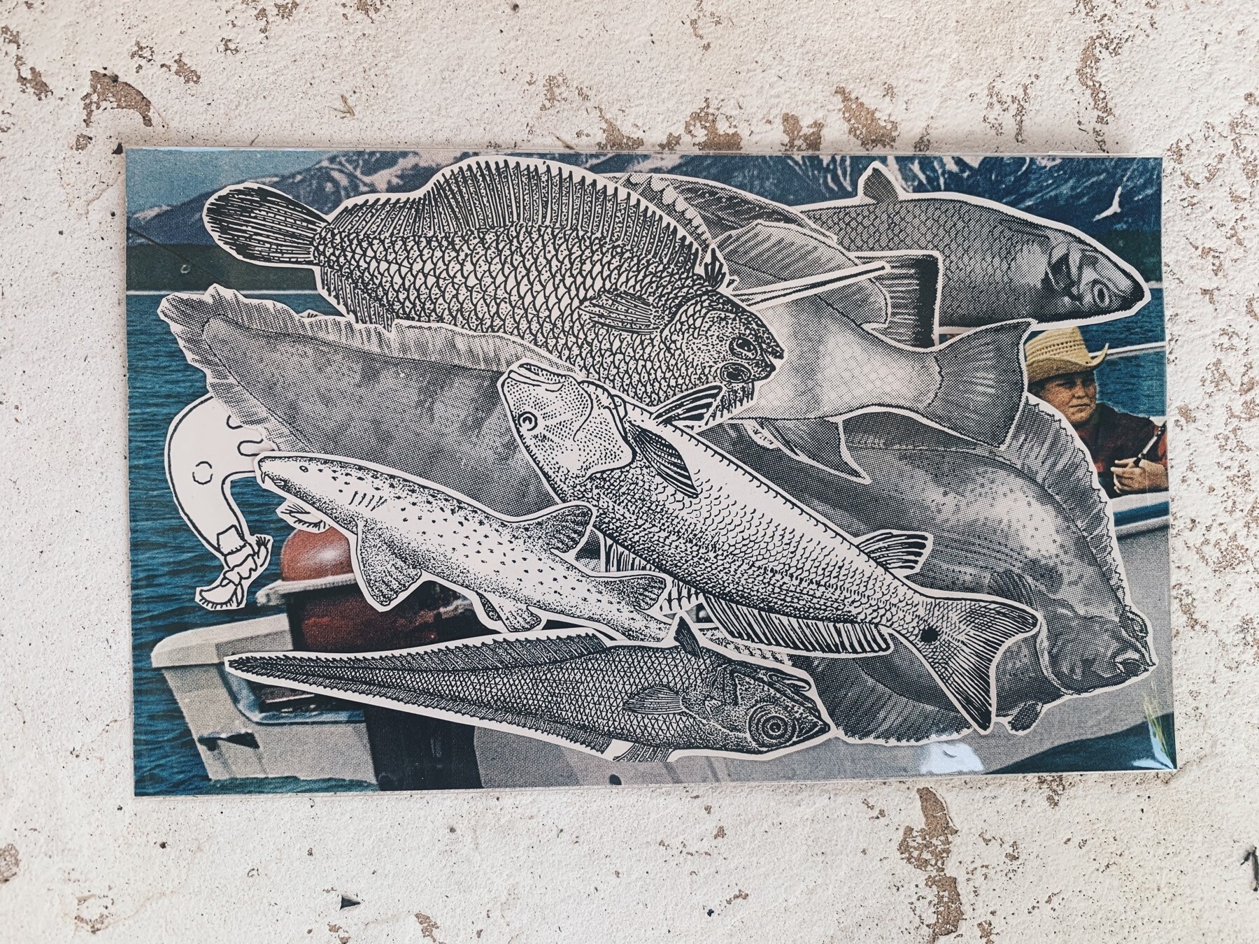 Fish Ephemera Paper Lot, Fish, Vintage Fish, Vintage Book Pages ...
