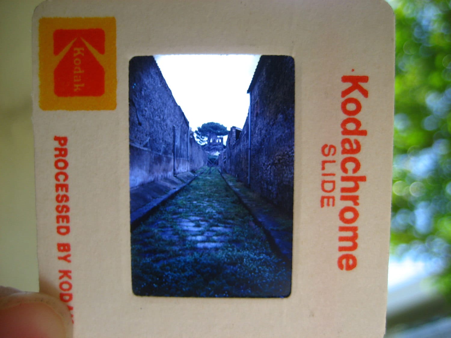 Vintage Photo Slides 100 Photography Slides, Vintage Negatives ...