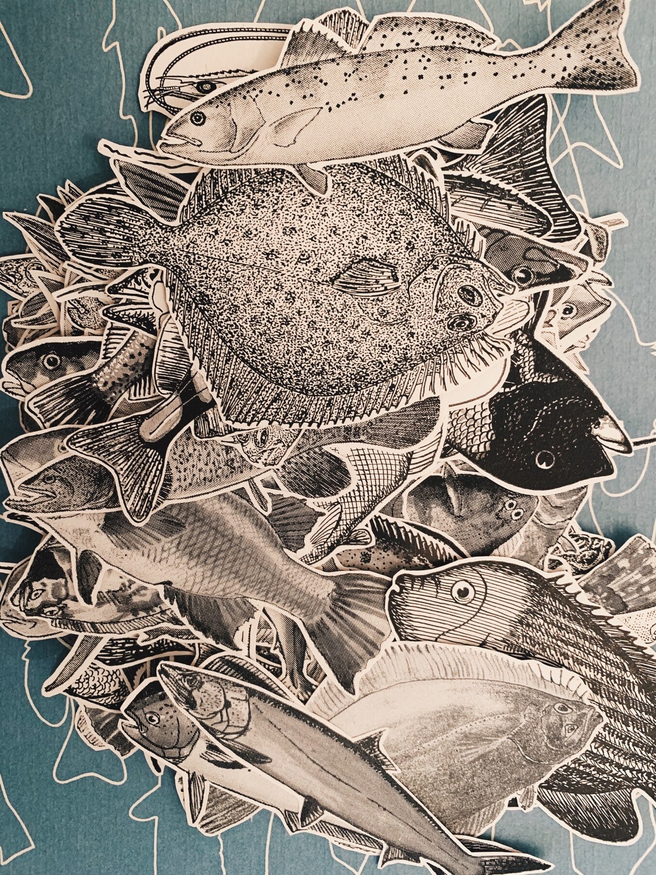 Fish Ephemera Paper Lot, Fish, Vintage Fish, Vintage Book Pages ...