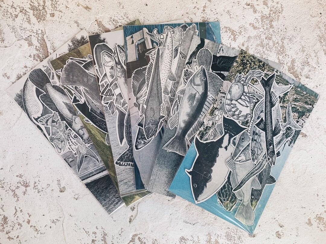 Fish Ephemera Paper Lot, Fish, Vintage Fish, Vintage Book Pages ...