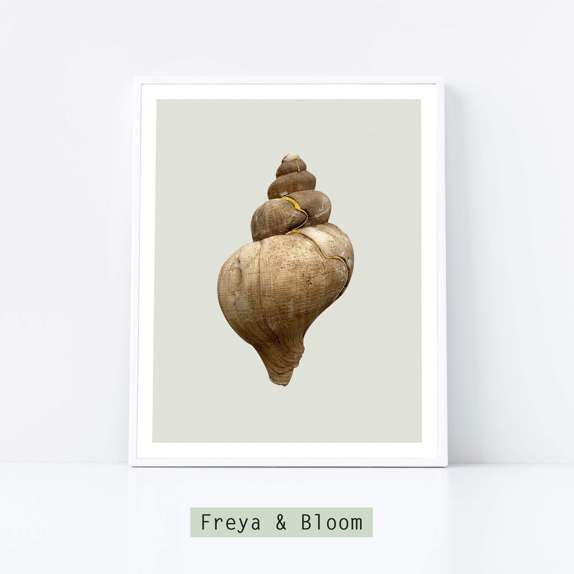 Kintsugi Cracked Seashell Art simple Version Kintsukuroi - Etsy UK