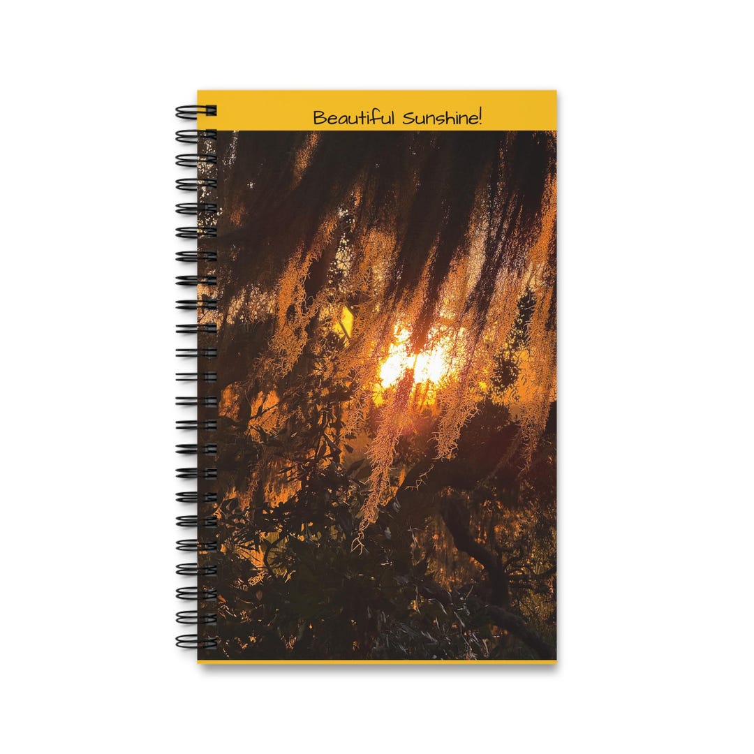 Spanish Moss Sunlight Spiral Journal | Nature Photography, Botanical ...