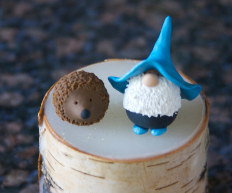 Mr. Blue Hat Sorcerer Gnome and His Large Guardian Hedgehog - Etsy