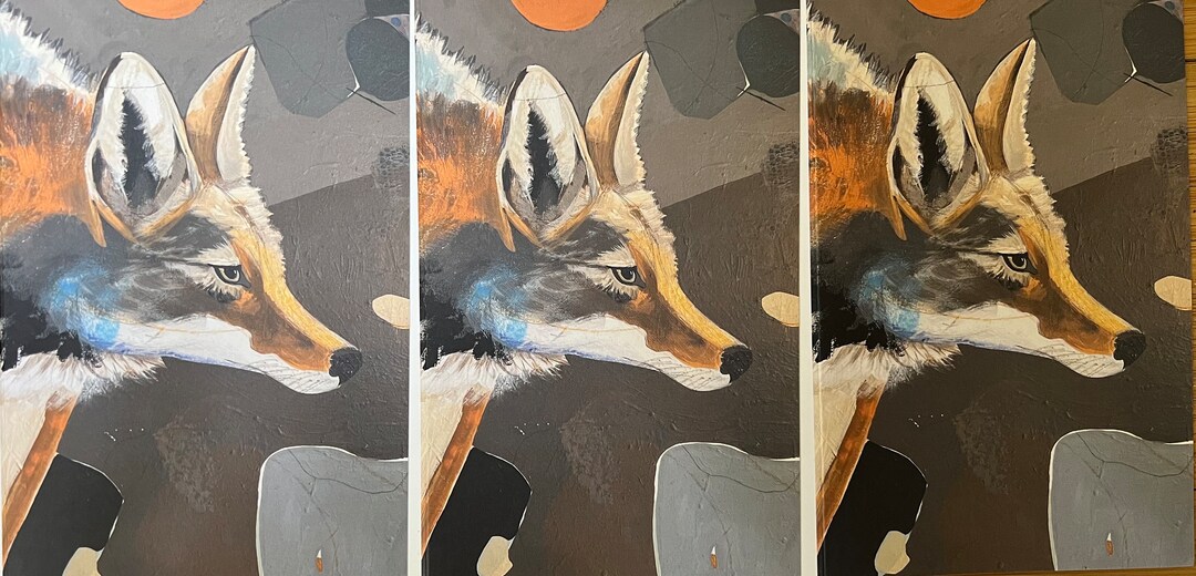Set of 3 Cards Coyote Country Coyote Cards - Etsy