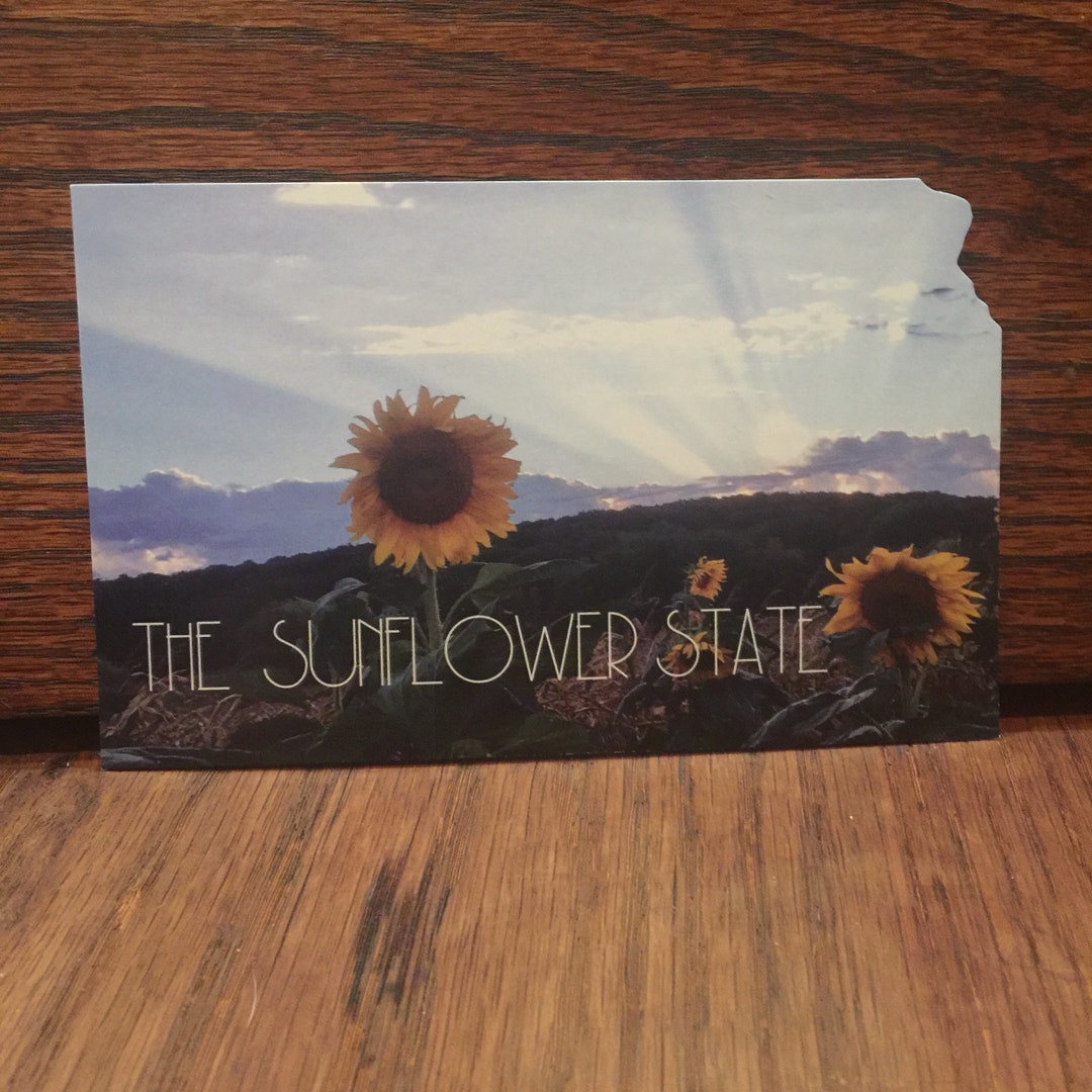 The Sunflower State" Postcards - Etsy