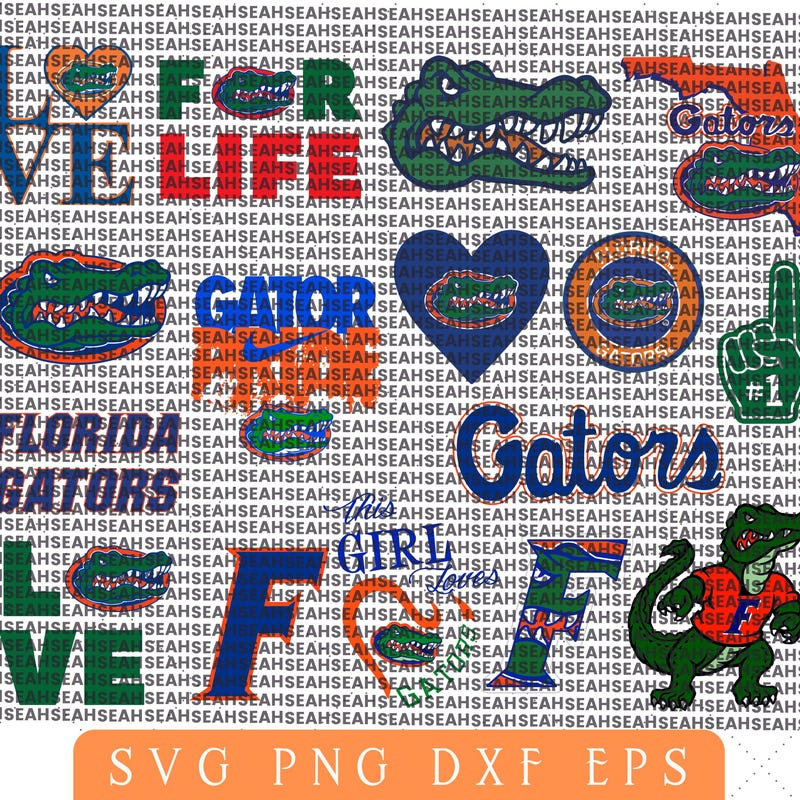 Florida Cricut Designs - Etsy