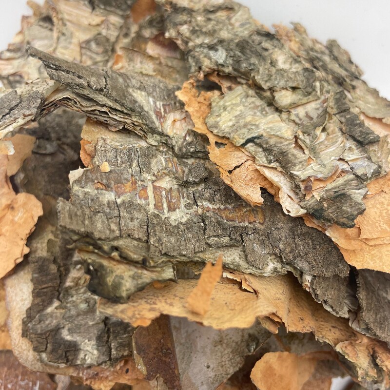 Bark Carving - Etsy
