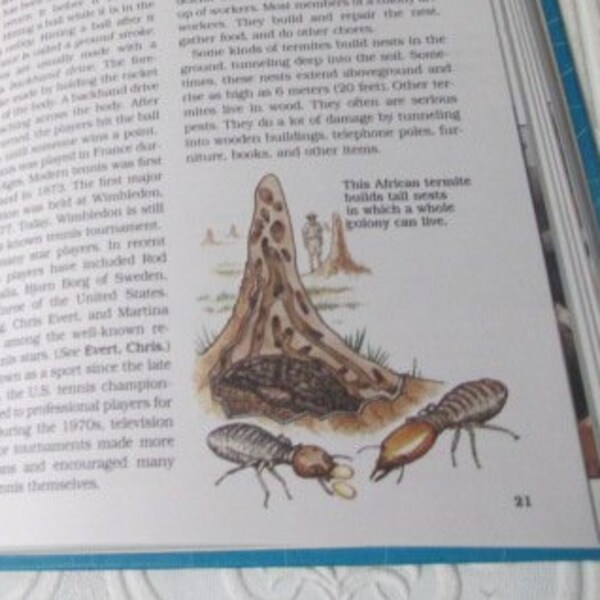 Upcycled Book Art - Etsy