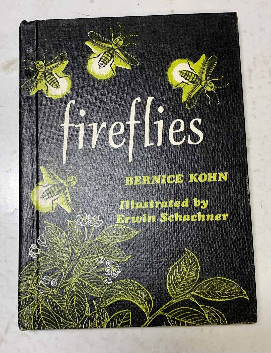 Fireflies by Bernice Kohn Vintage Kids Book Illustrated 1970 - Etsy