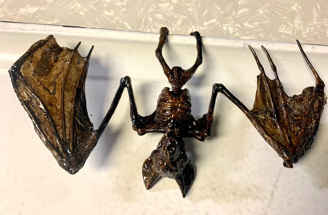 Mummified Fake Bat Handcrafted Horror Halloween Prop Decor - Etsy