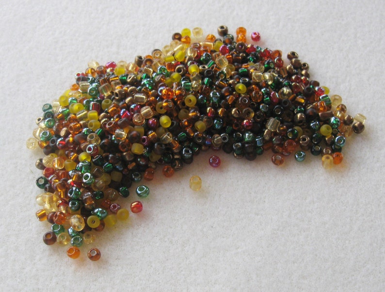 Jewelry Making Beads Glass Seed Beads 'autumn' Bead - Etsy