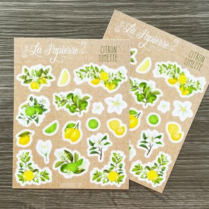 Double-sided Letter Writing Sheets - Citron Limette - Etsy